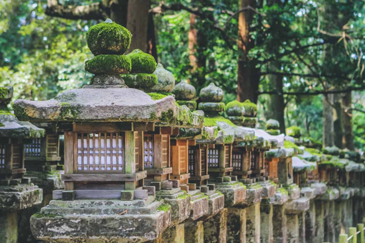 Kasuga Taisha Shrine, Nara, Japan - Nara Park Website